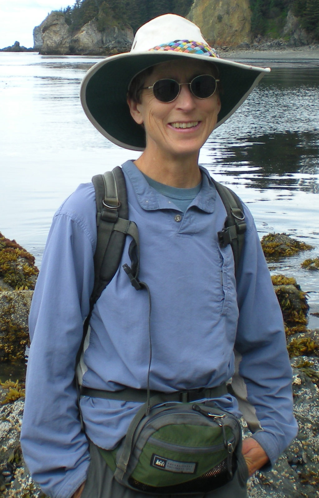 Tidal power, not natural gas line, would better serve Homer, state ...