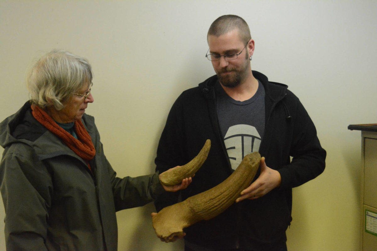 Three new finds add to ancient Homer bone collection; citizen science ...