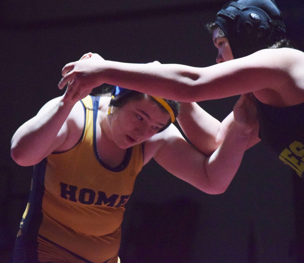 Homer wrestling wins 4th straight region crown | Homer News