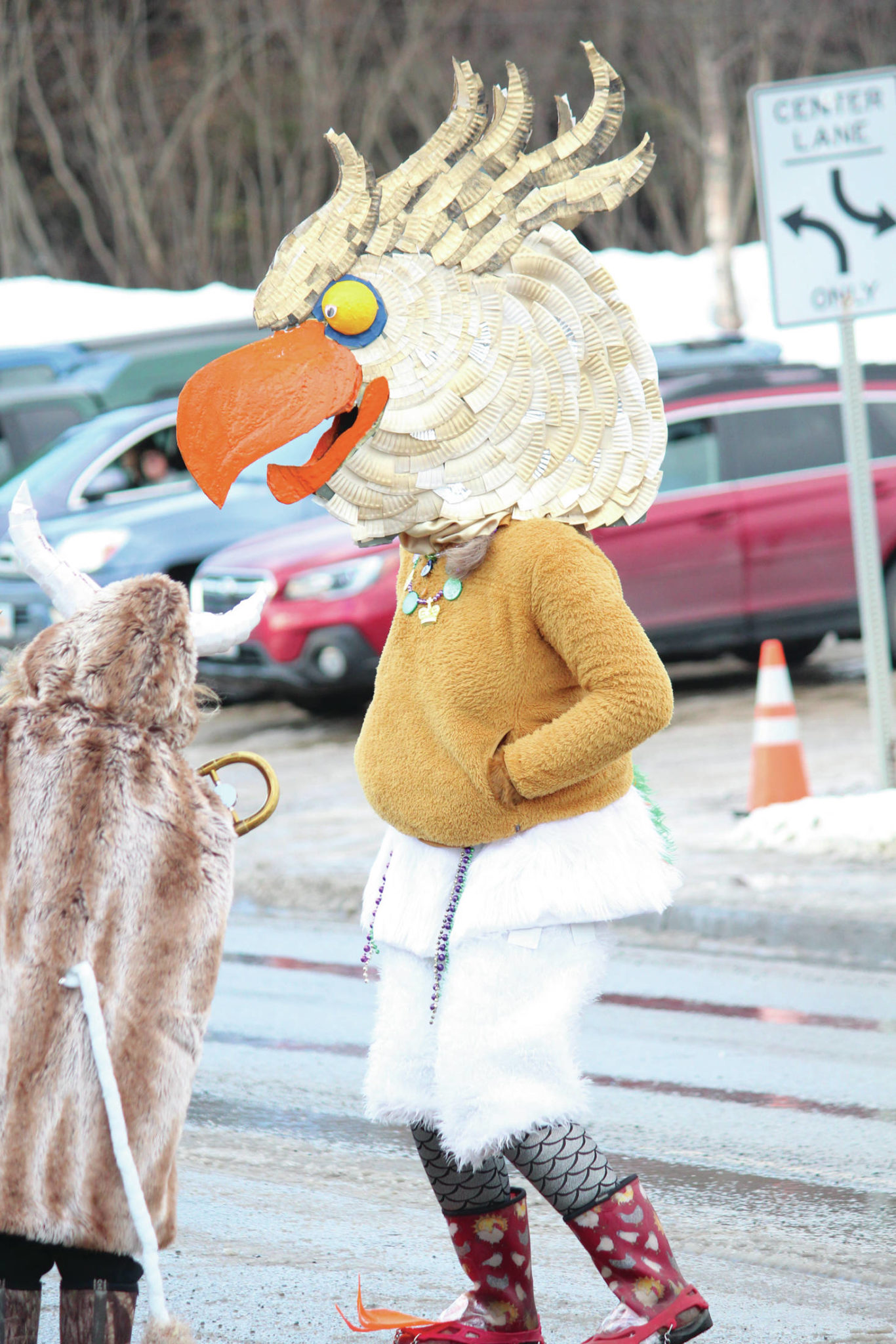 Homer Winter Carnival Parade celebrates wilderness | Homer News