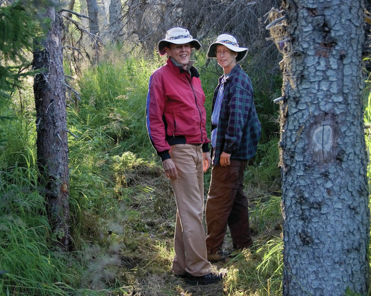 Center for Alaskan Coastal Studies becomes steward of Inspiration Ridge ...