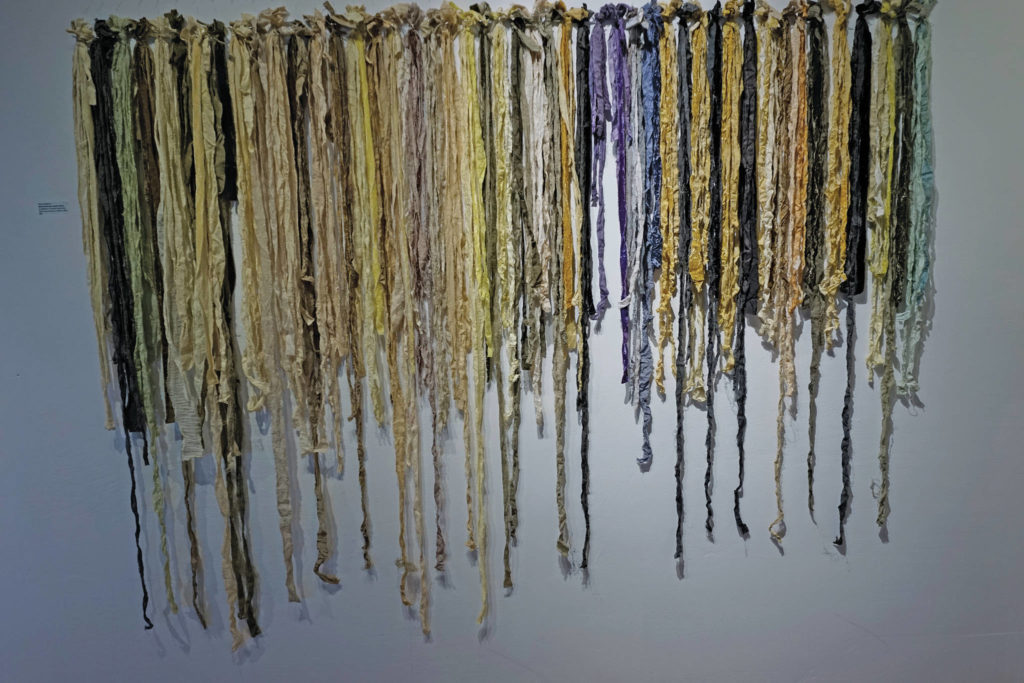‘Swatches’ explores art of organic dyeing using native plants | Homer News