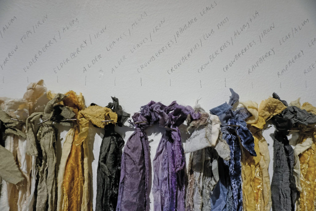 ‘Swatches’ explores art of organic dyeing using native plants | Homer News