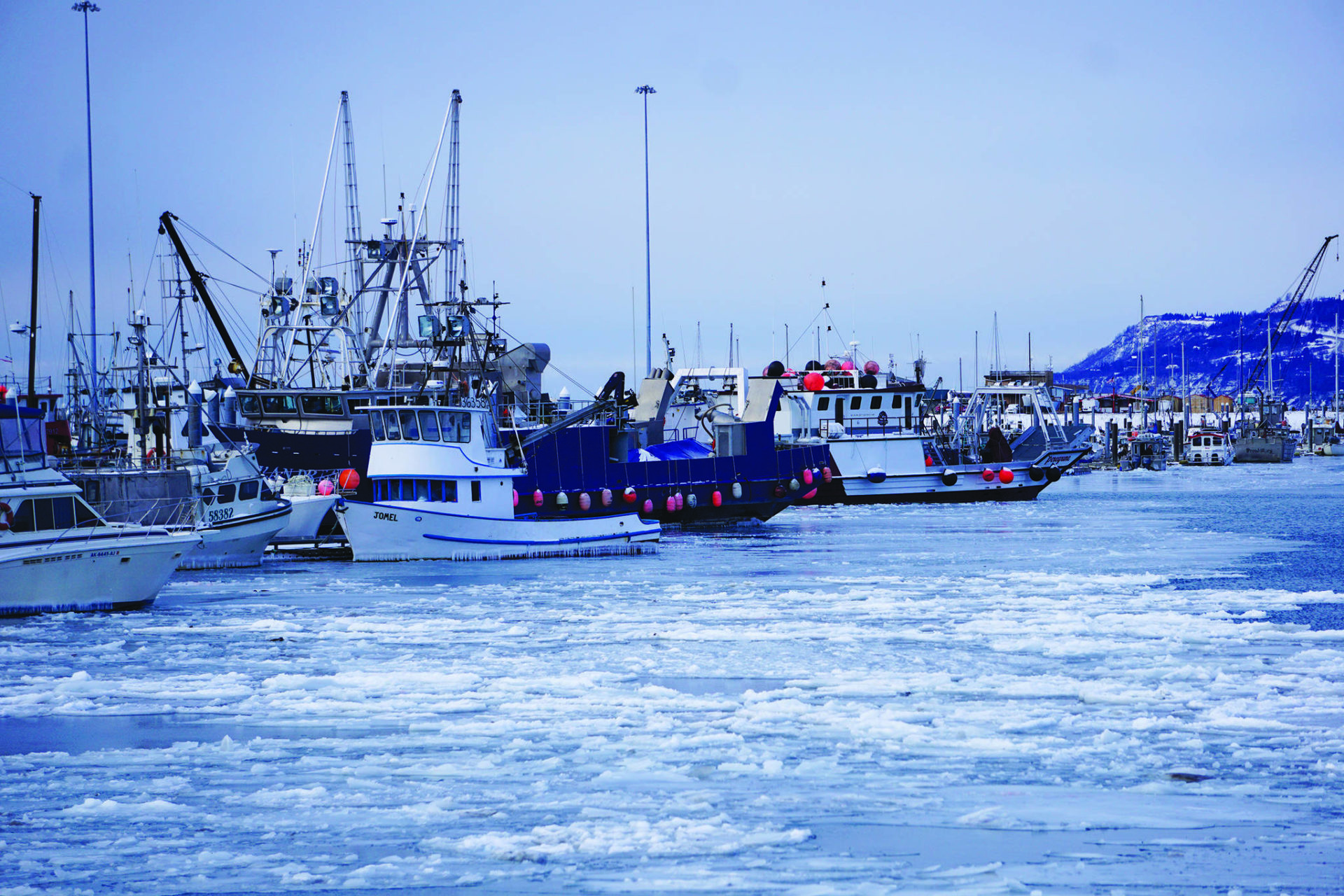 Cook Inlet salmon fishery issue to be decided by North Pacific Fishery ...