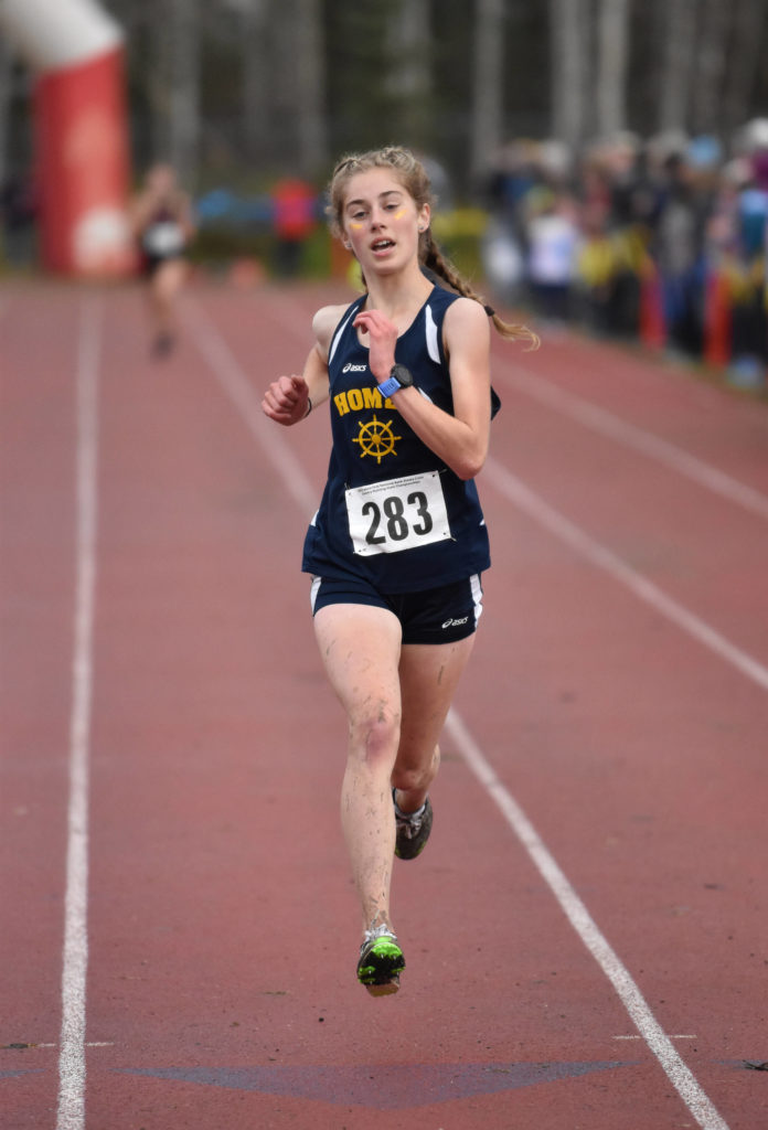 McDonough takes 2nd at state cross-country | Homer News