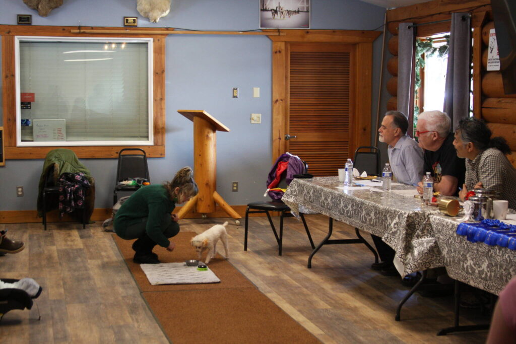 Snow Rondi dog show revival a howling success | Homer News