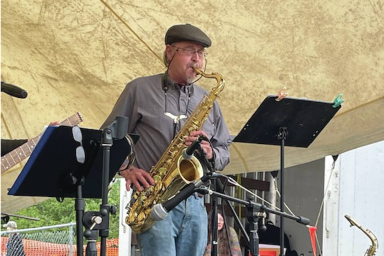 Homer Concert on the Lawn celebrates music and community spirit in ...