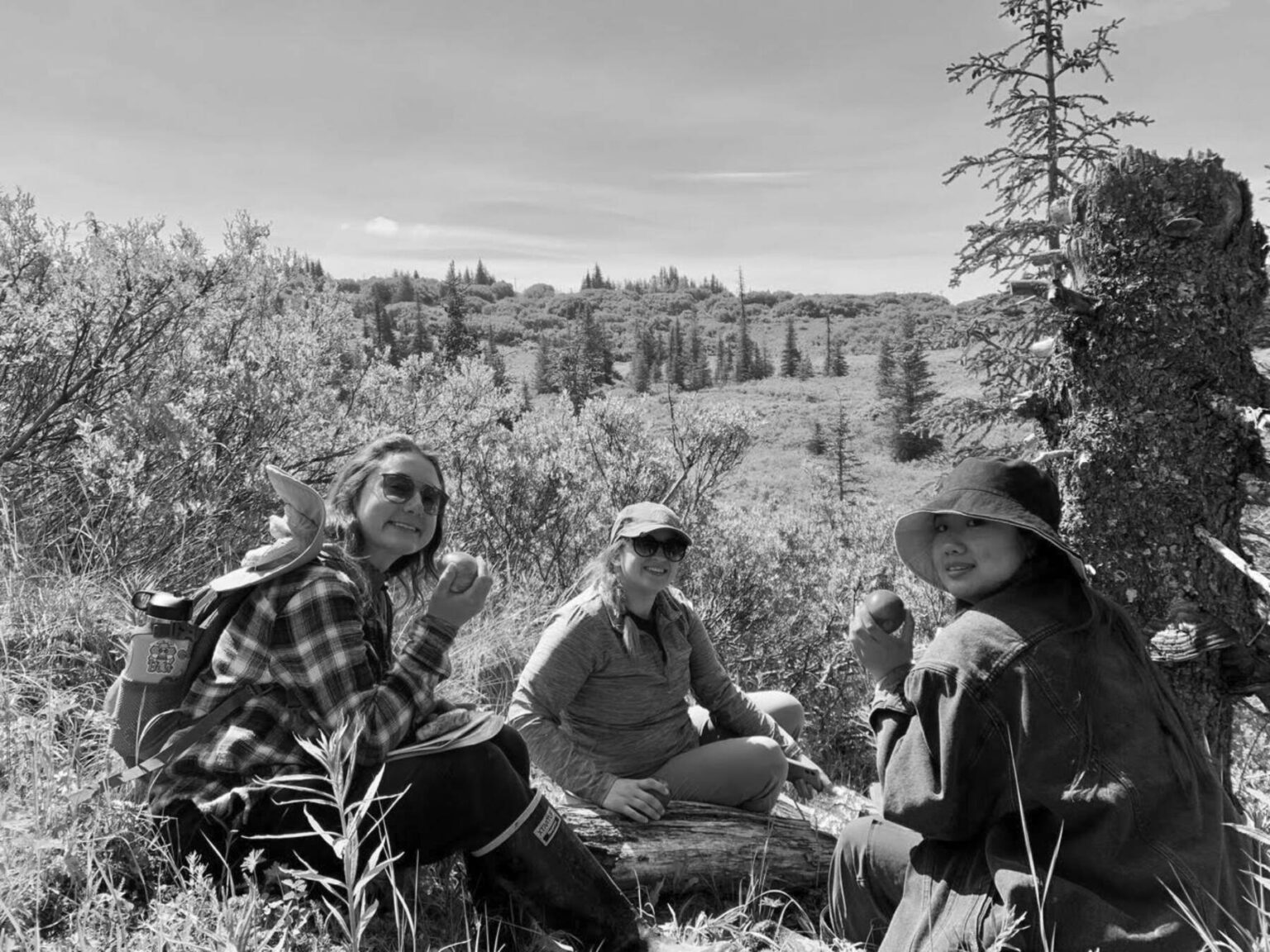 Graduate students conduct research to reintroduce beavers at Fritz ...