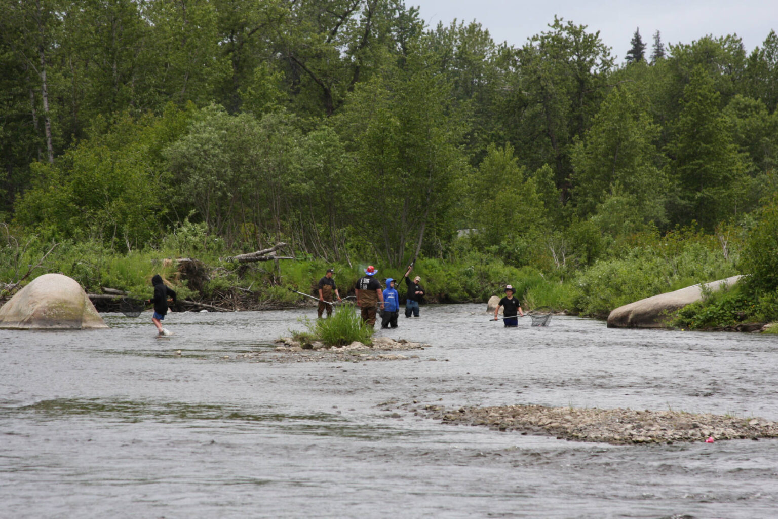 Winners announced for Anchor River duck races | Homer News