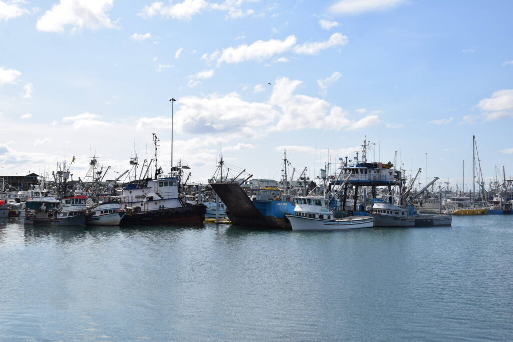 Homer Port and Harbor expansion options reduced to 5 alternatives ...