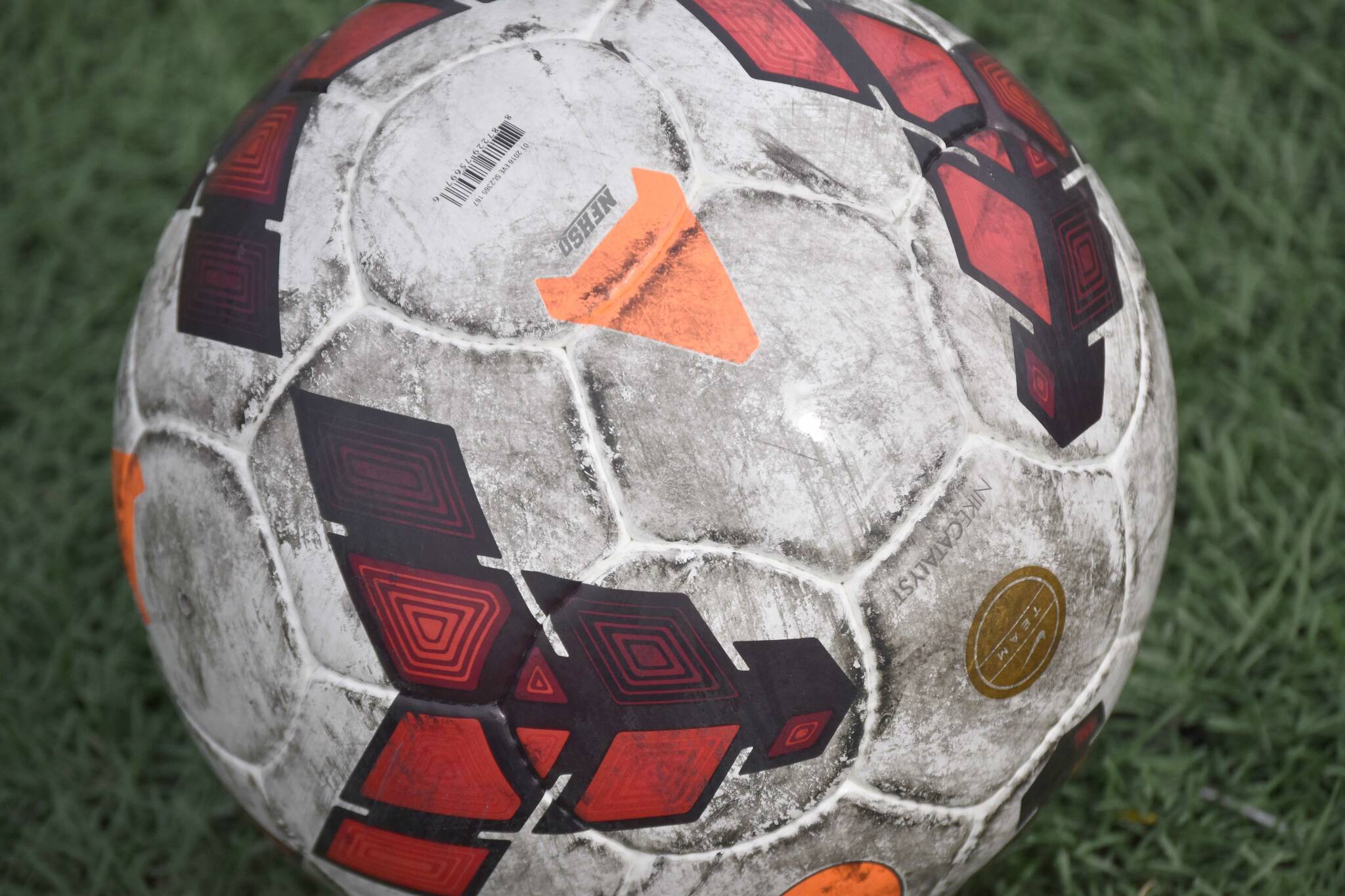 Friday soccer: All the peninsula teams win | Homer News