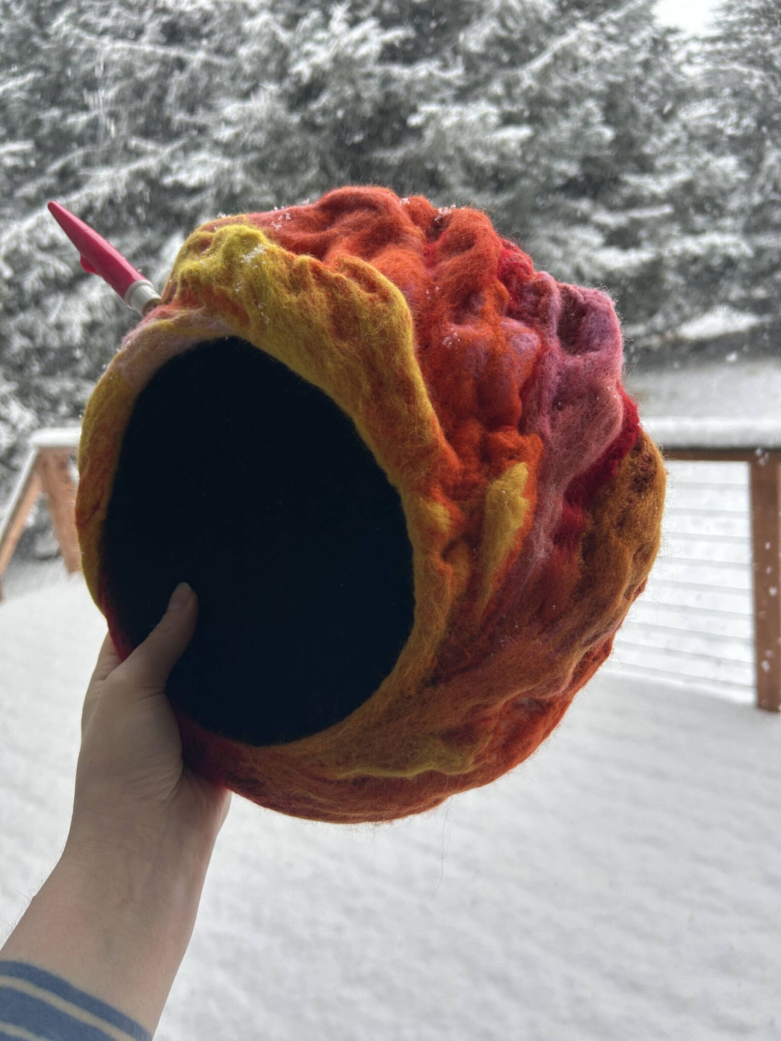 Celebrating women in science | Homer News