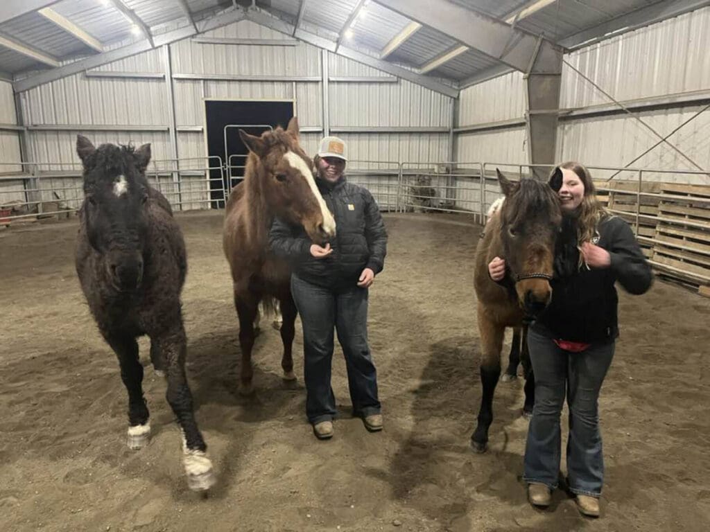 Missing horse safely reunited with family, uninjured | Homer News