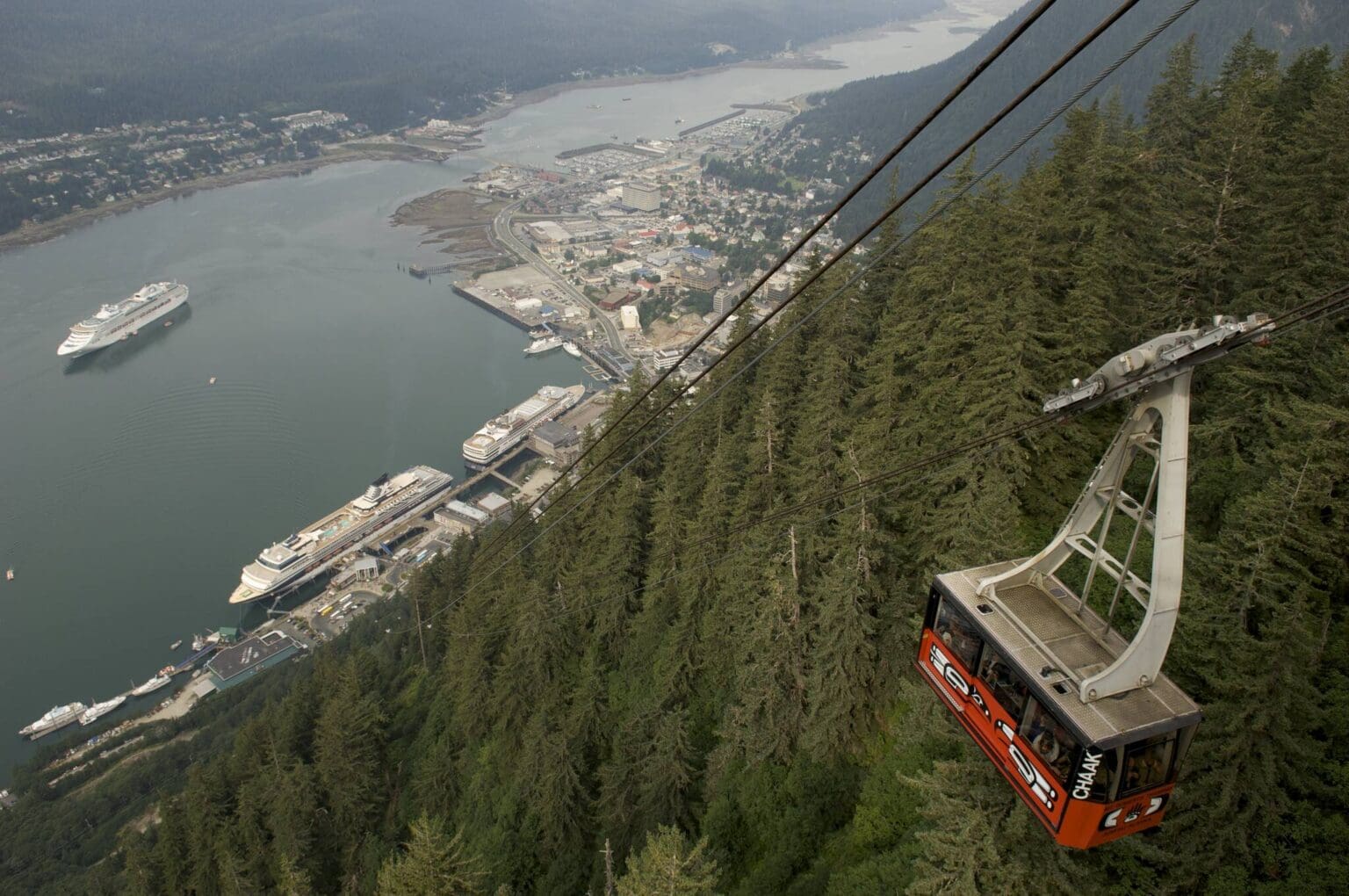 Cruise ship passenger dies after fall from Juneau mountain trail ...