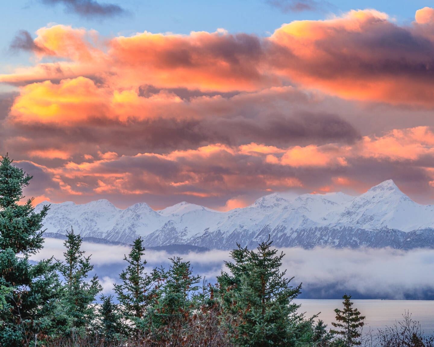 Art on holiday | Homer News